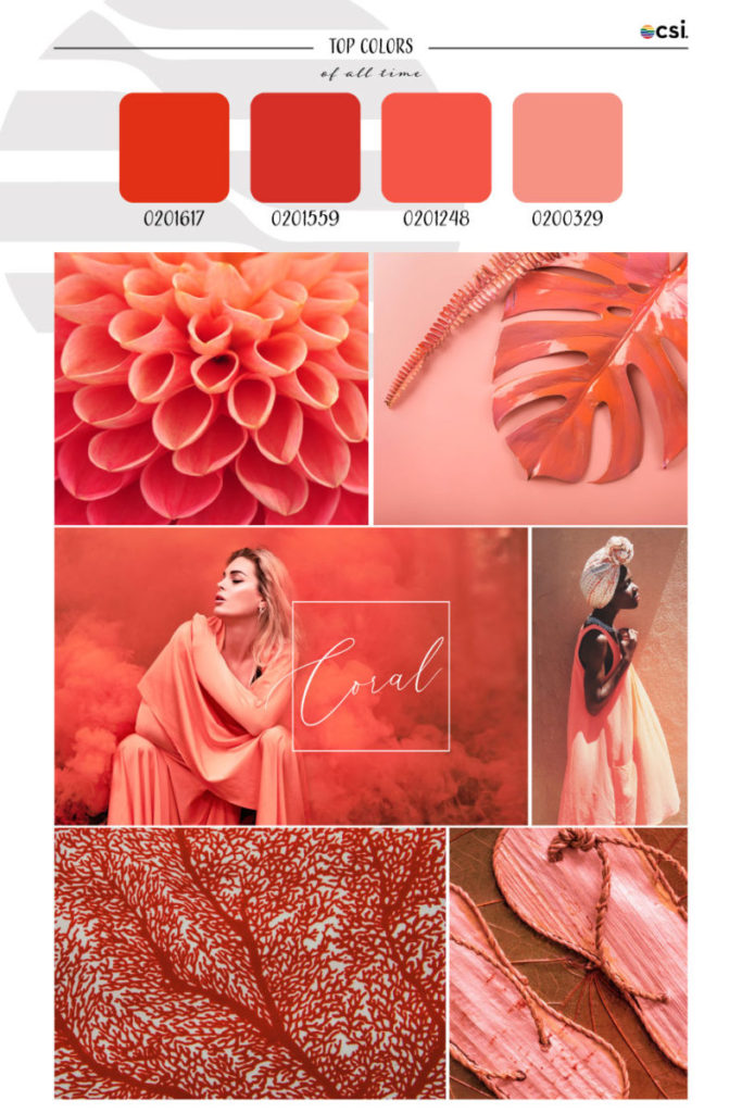 Top ColorWall™ Colors of All Time | Coral – eColorWorld