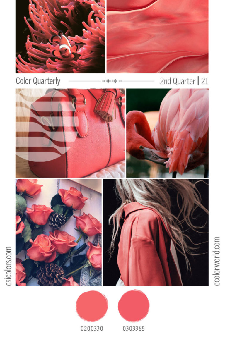 Color Quarterly - Q2 2021 – eColorWorld