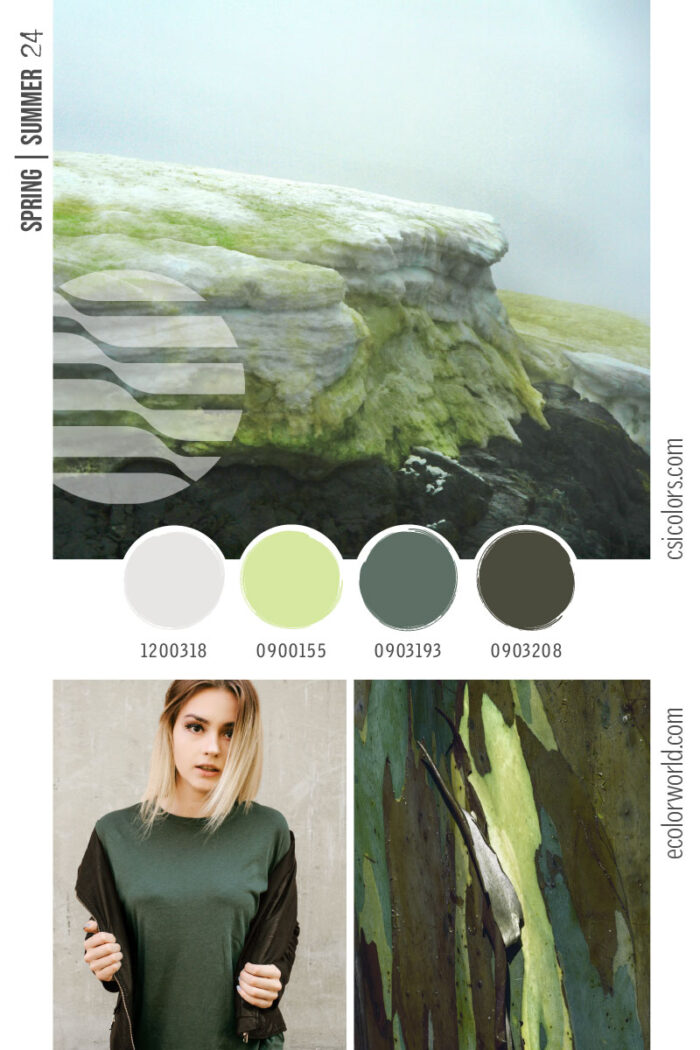 Q2 - Spring / Summer 24 – eColorWorld