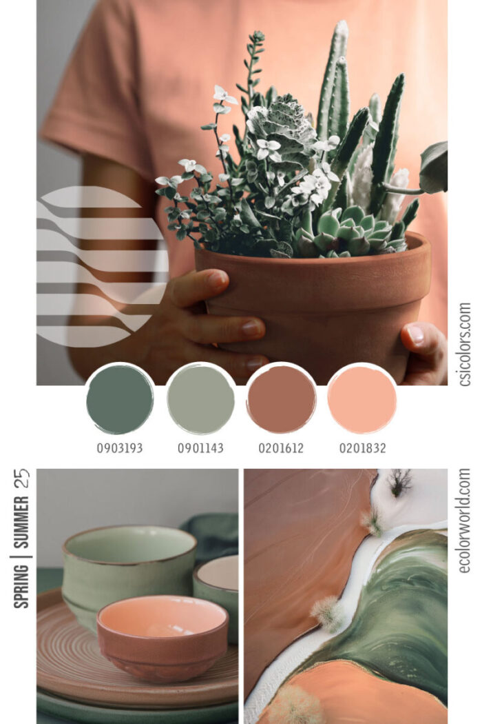 Q1 – Spring/Summer 25 – eColorWorld