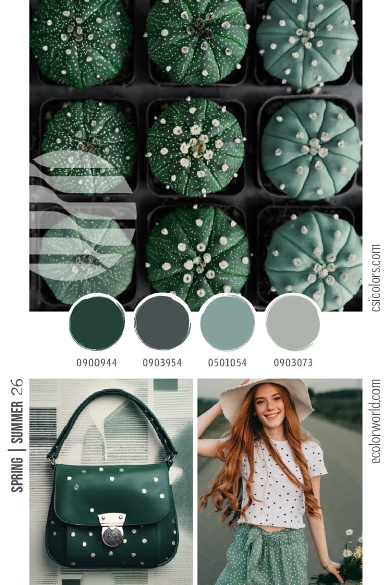 Q3 - Spring/Summer 2026 – eColorWorld