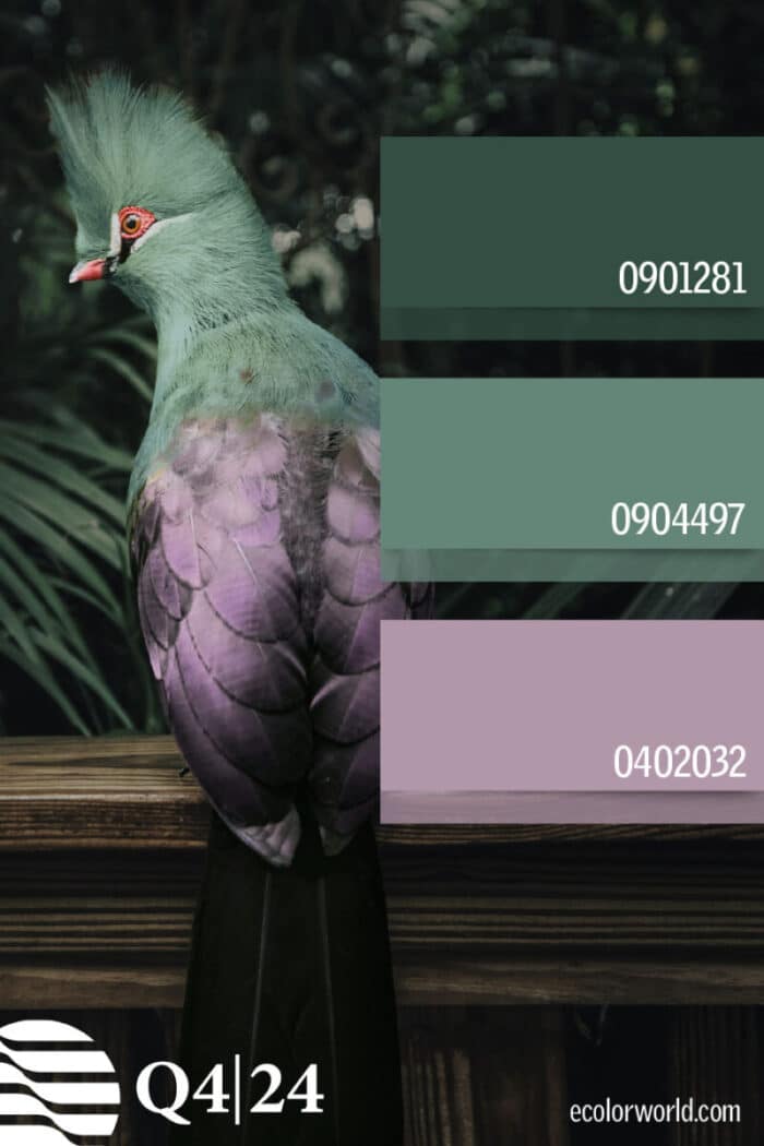 Q4/24: Color Quarterly RCP – eColorWorld