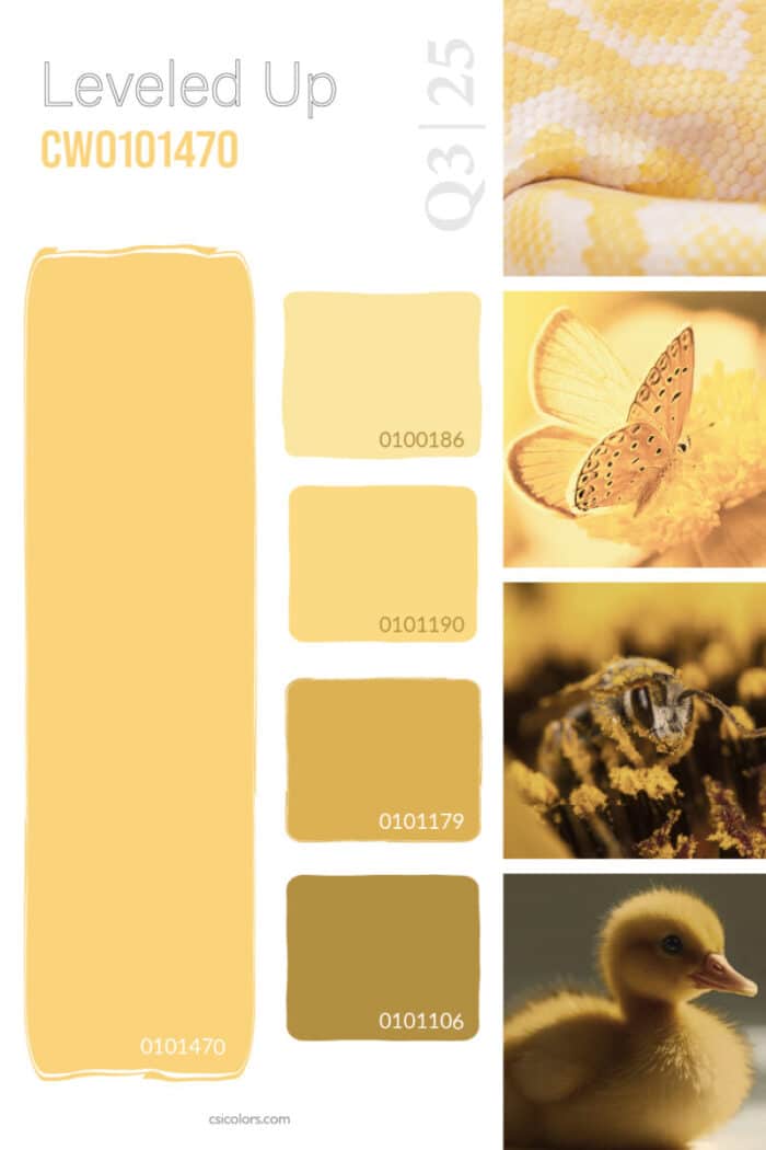 Q3/25: Color Quarterly Levels – eColorWorld